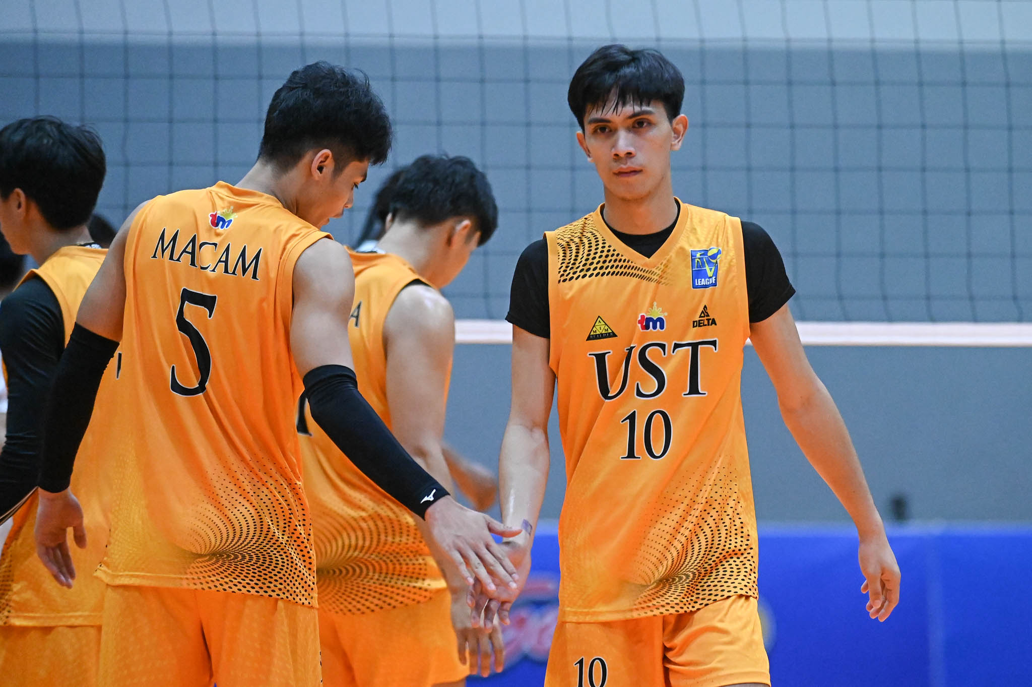 Gallery | The V-League