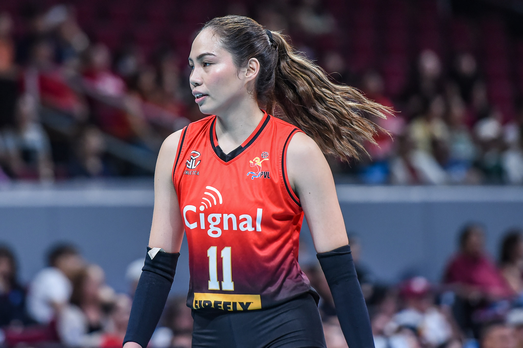 Photos | PVL - Premier Volleyball League