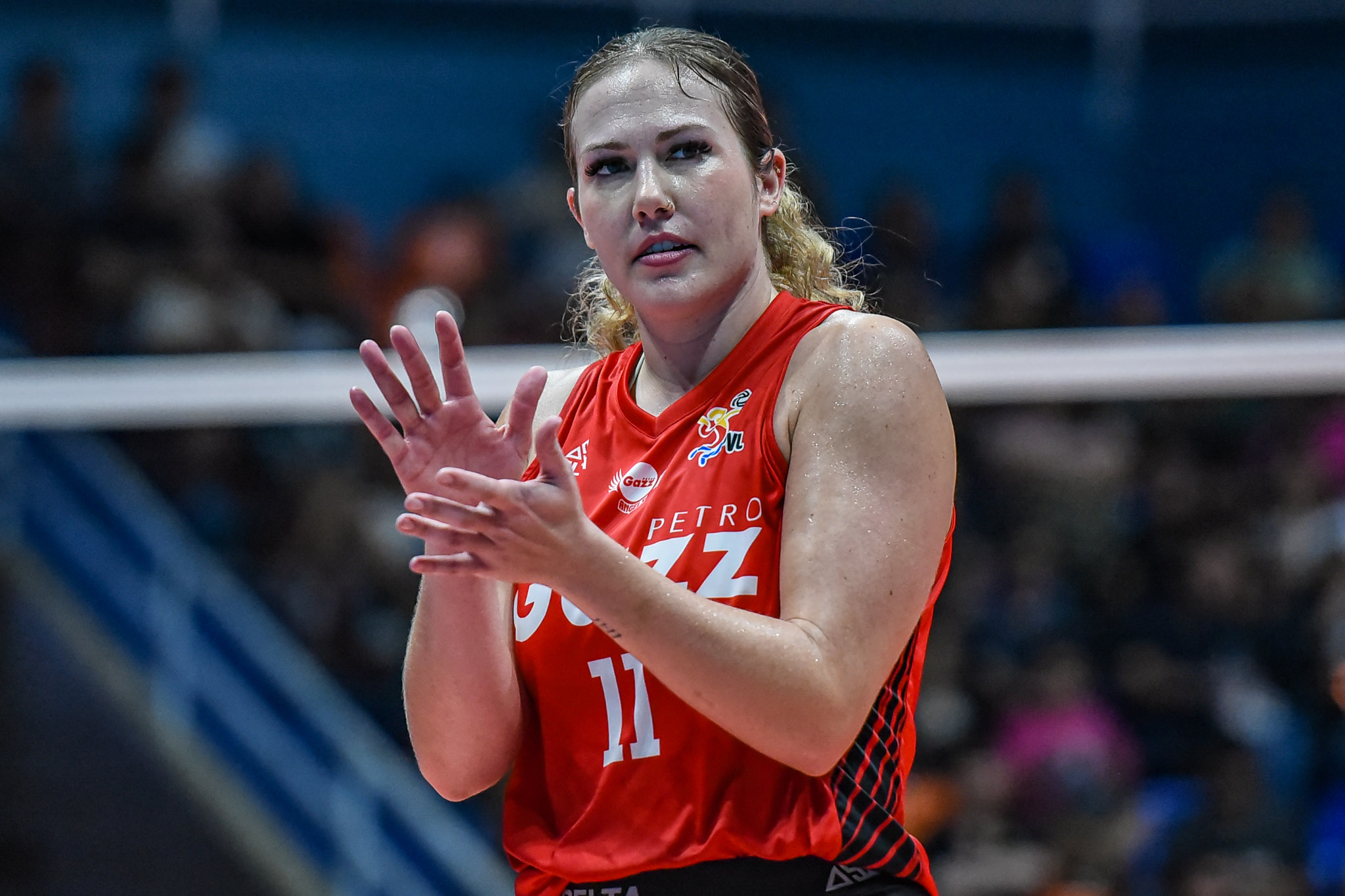 News | PVL - Premier Volleyball League