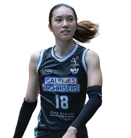 PVL - Premier Volleyball League