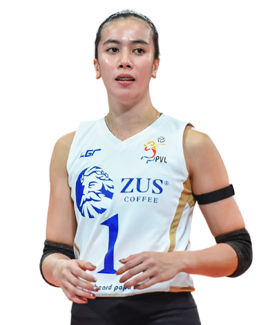 PVL - Premier Volleyball League